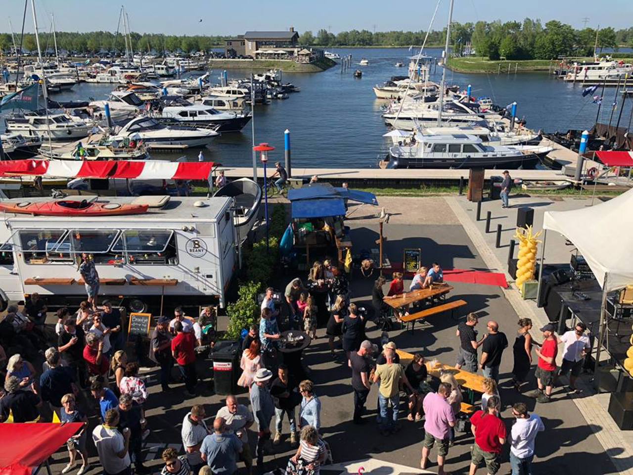 Marina Festival marks our 50th birthday